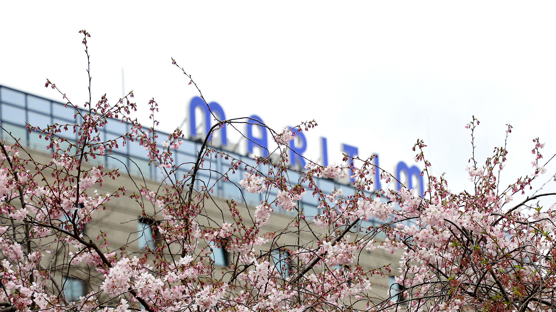 Maritim Online advantages | Maritim Hotels | Maritim Hotels